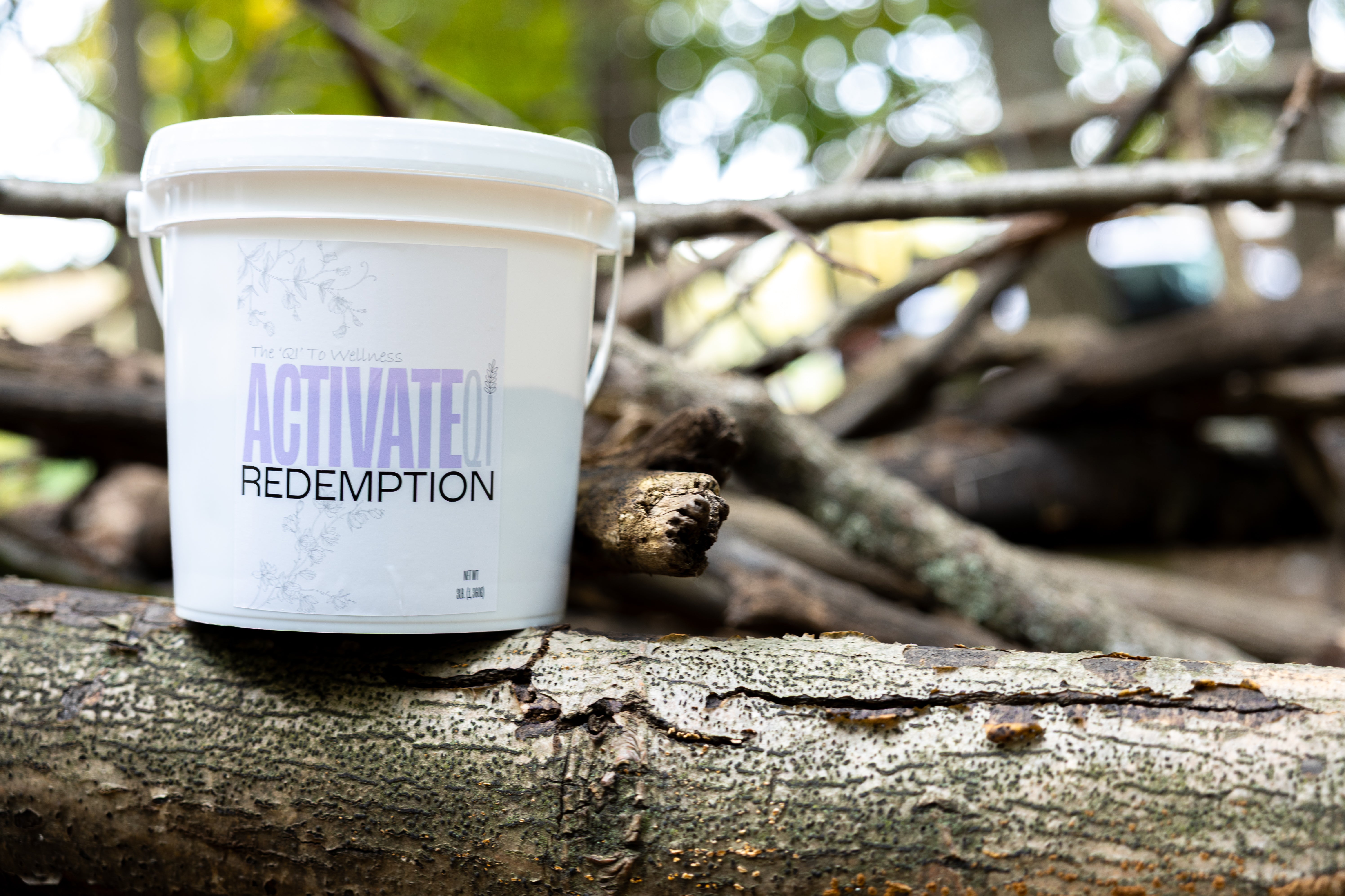 Ulcer-Prone Horses: Choosing the Right GI Formula – ActivateQI