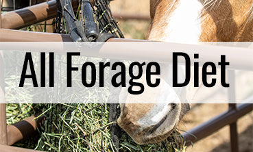 Switching to an All Forage Diet: A Healthier, Inflammation-Free Option ...