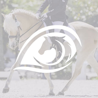 Collections – ActivateQI