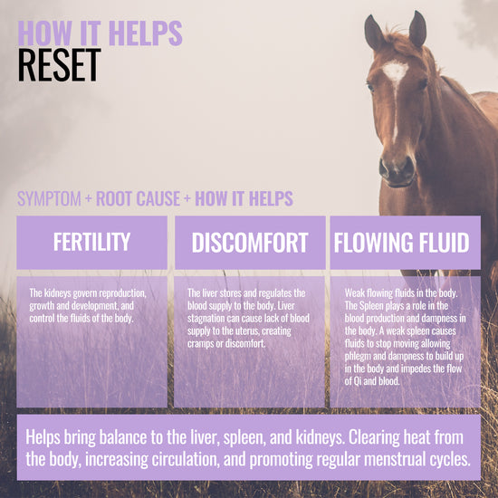 Reset – ActivateQI